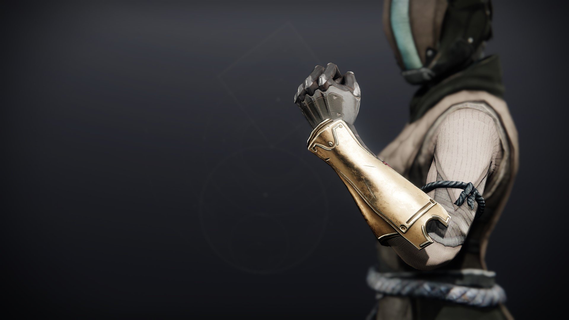 Tusked Allegiance Gloves - Destiny 2 DB