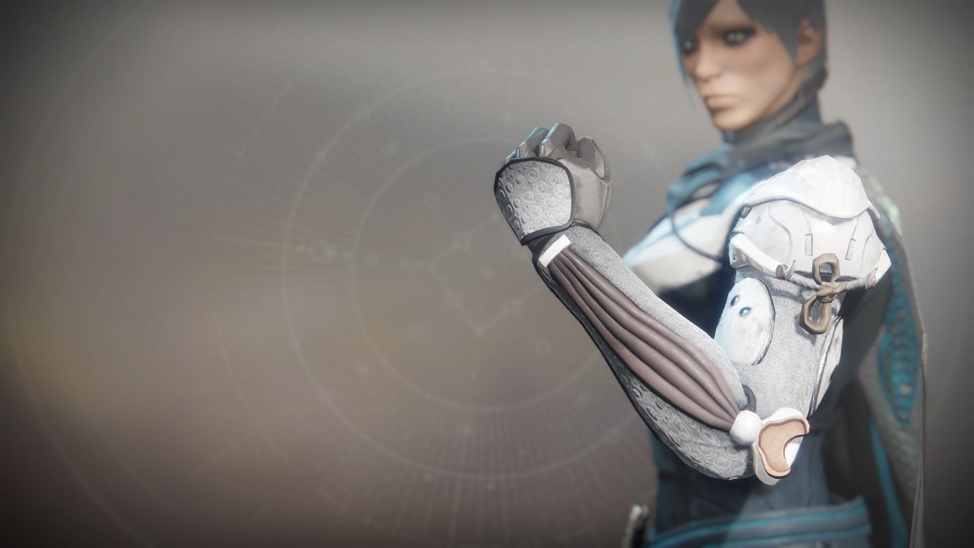 Equitis Shade Grips - Destiny 2 DB