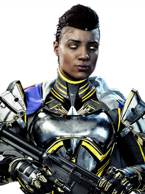 Paladin - COD Tracker