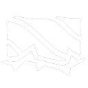 Vyse Abilities, Guides and Insights - Valorant Tracker Database