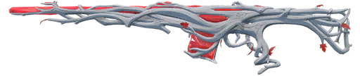 Guardian Information - Valorant Tracker Database