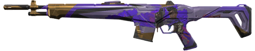 Guardian Information - Valorant Tracker Database