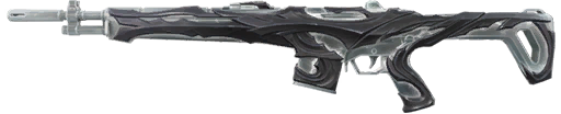 Guardian Information - Valorant Tracker Database
