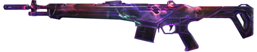 Guardian Information - Valorant Tracker Database